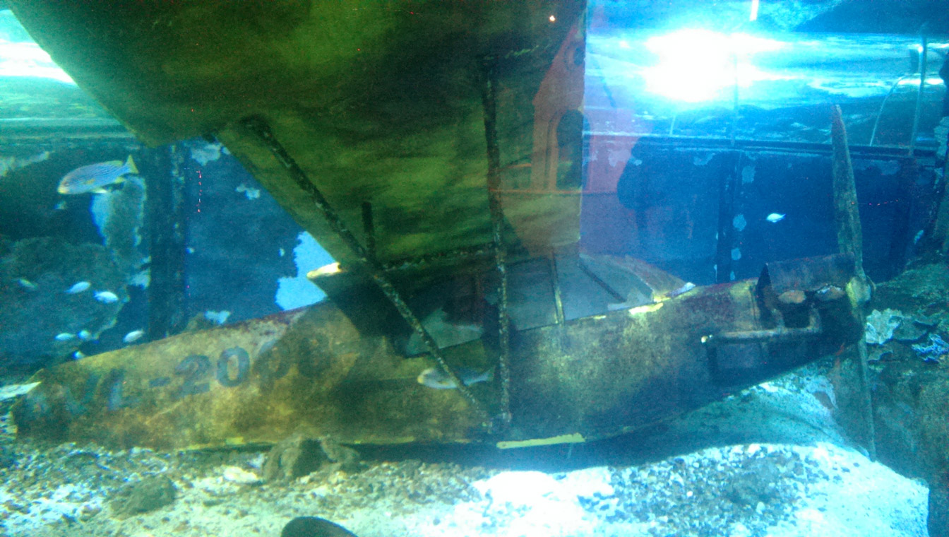 Aquarium de Touraine | Le plus grand aquarium d'eau douce d'Europe